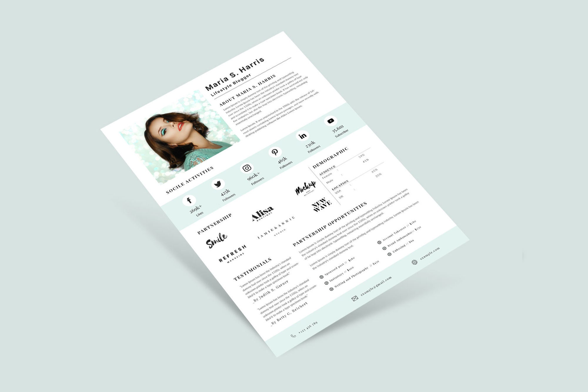 Media Kit Flyer Template Influencer Media Kit Media Kit - Etsy