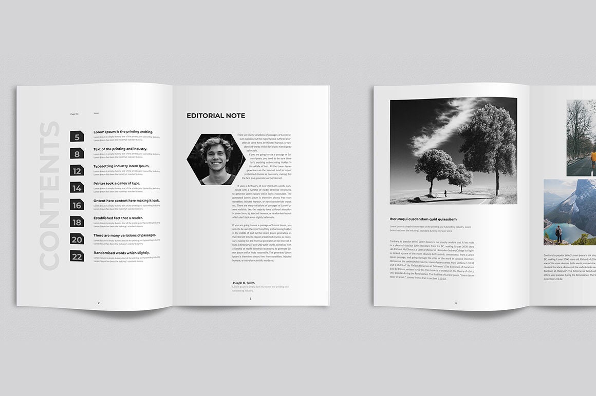 Simple Magazine Layout Design