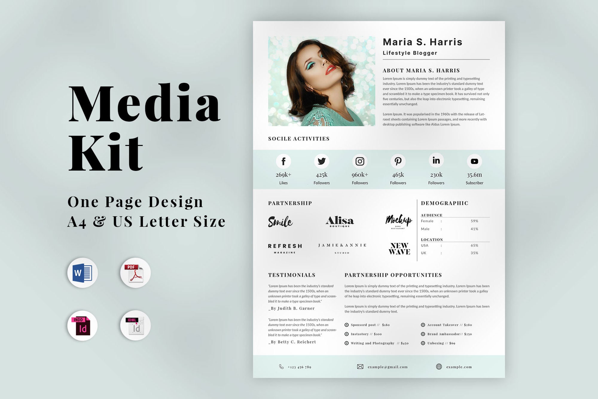 Media Kit Flyer Template Influencer Media Kit Media Kit - Etsy