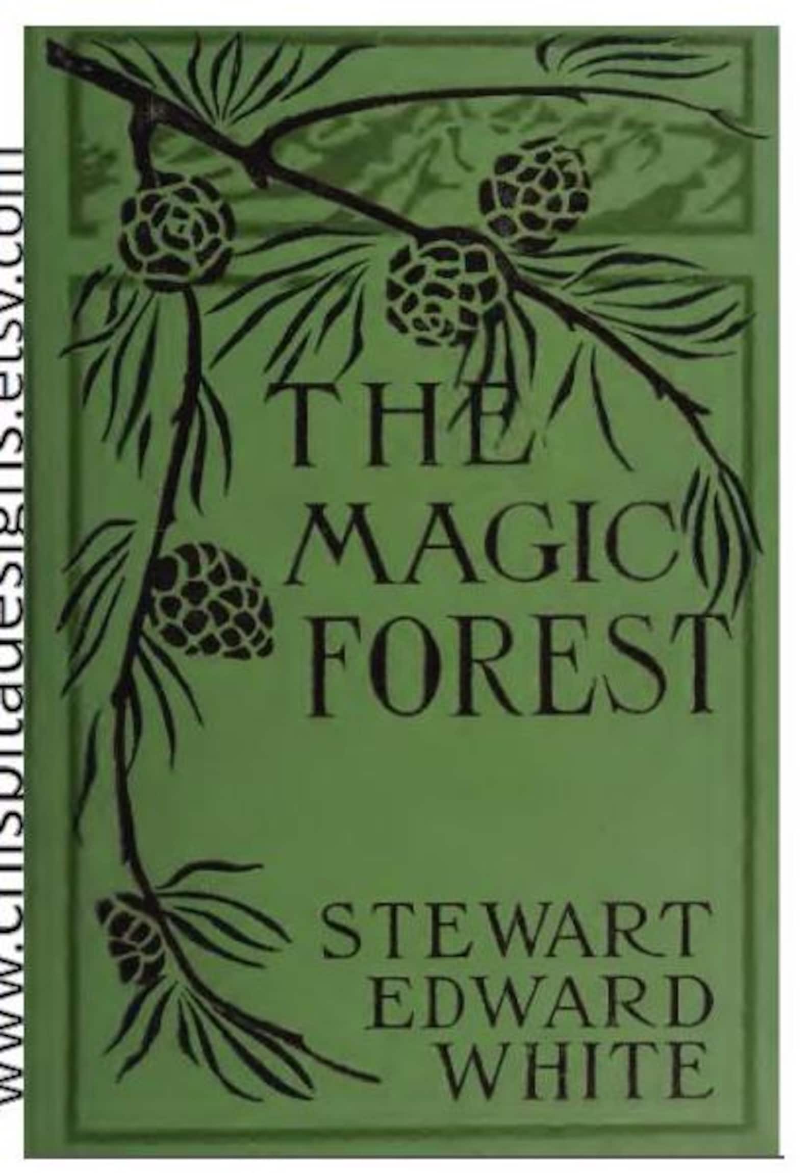 The Magic Forest: an Illustrated Native Native American Printable Tale ...