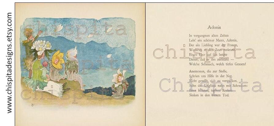 Alpenblumenmarchen: German Illustrated Fairytale Rhymes Ebook. Flower ...