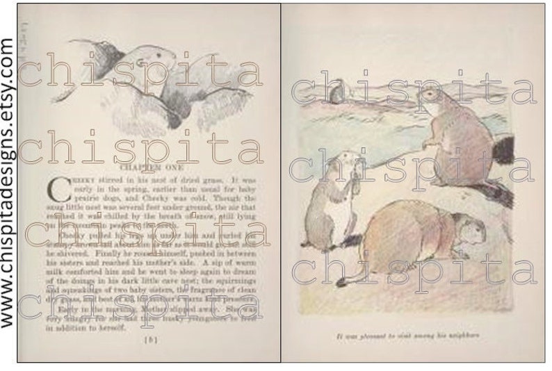 Cheeky a Prairie Dog: Illustrated Furry Adventures Ebook.a - Etsy