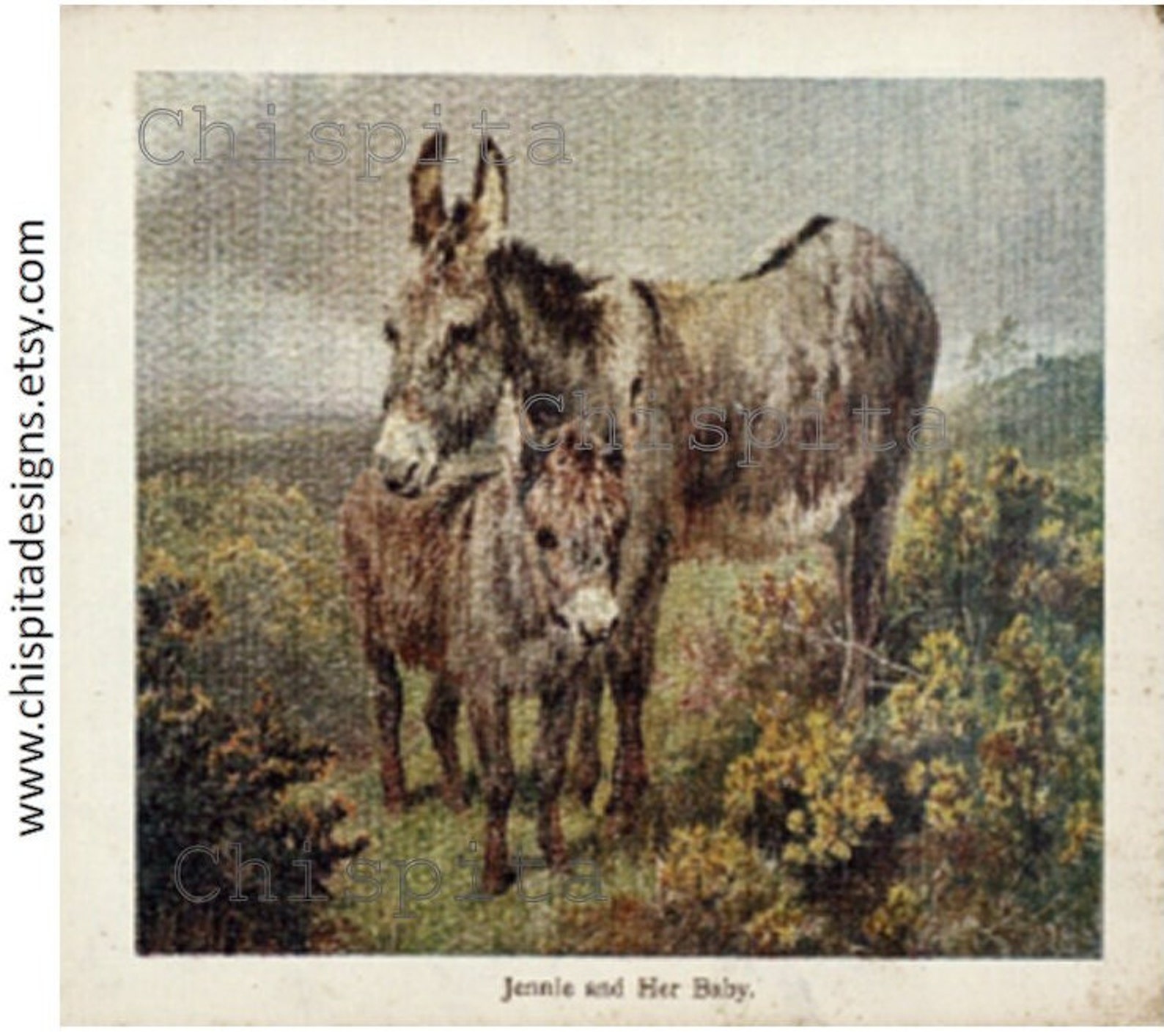 The Book of Donkeys Vintage Printable Picture Book.cute Burros Antique ...