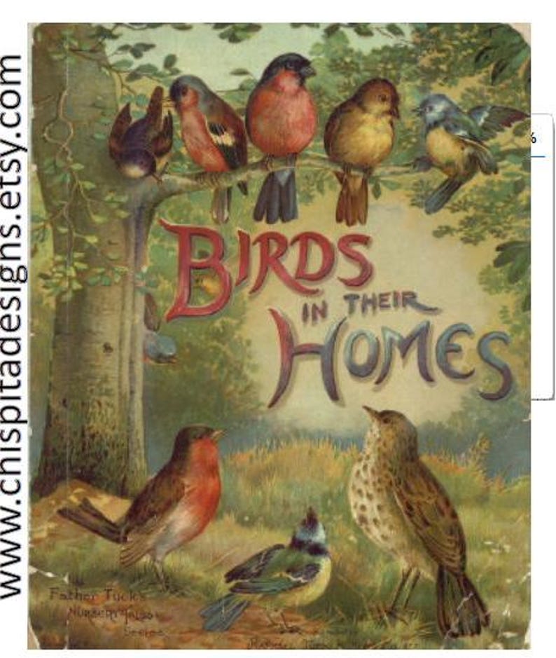 Birds in Their Homes: Vintage Nursery Tales Forest Ebook (PDF) - Etsy