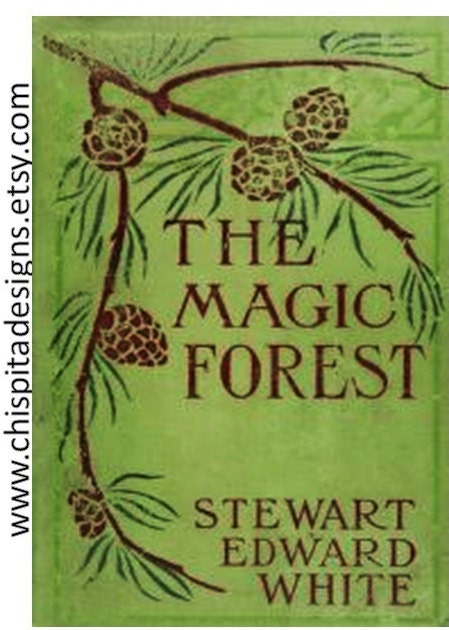 The Magic Forest: an Illustrated Native Native American Printable Tale ...