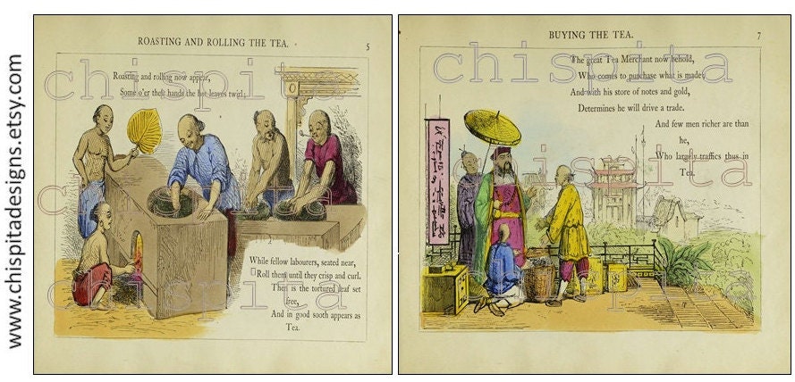 The History of a Cup of Tea in Pictures and Rhymes Ebook.tea Origins ...