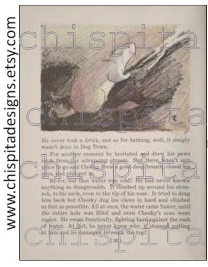 Cheeky a Prairie Dog: Illustrated Furry Adventures Ebook.a - Etsy