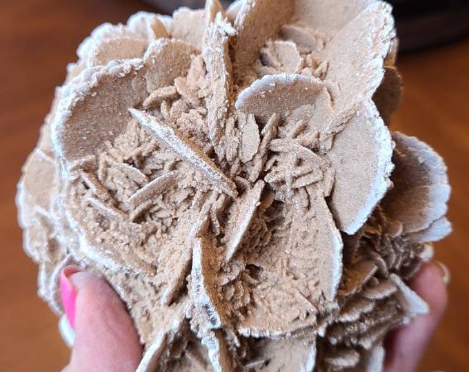 Dessert Rose Flower - Etsy