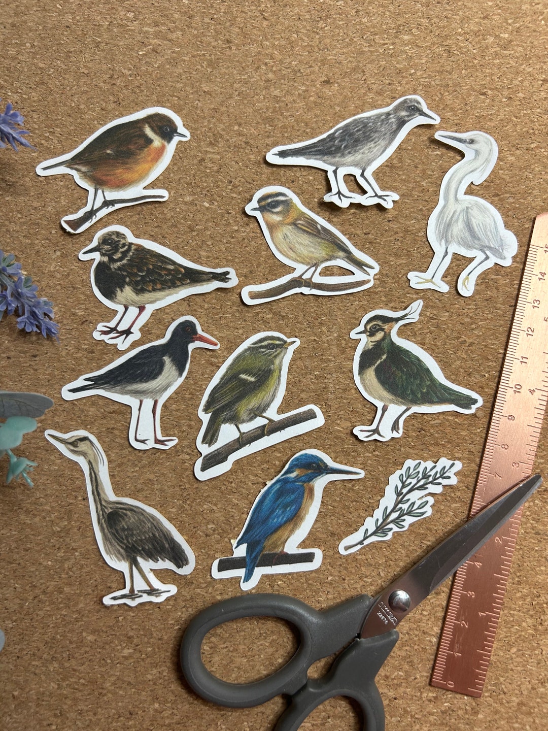 Illustrated Sticker Pack - Cornish Birds - Etsy