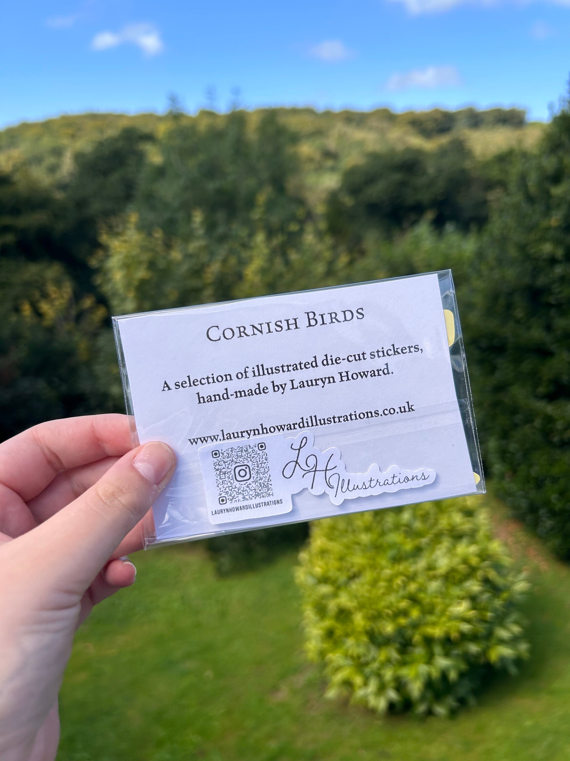 Illustrated Sticker Pack Cornish Birds - Etsy