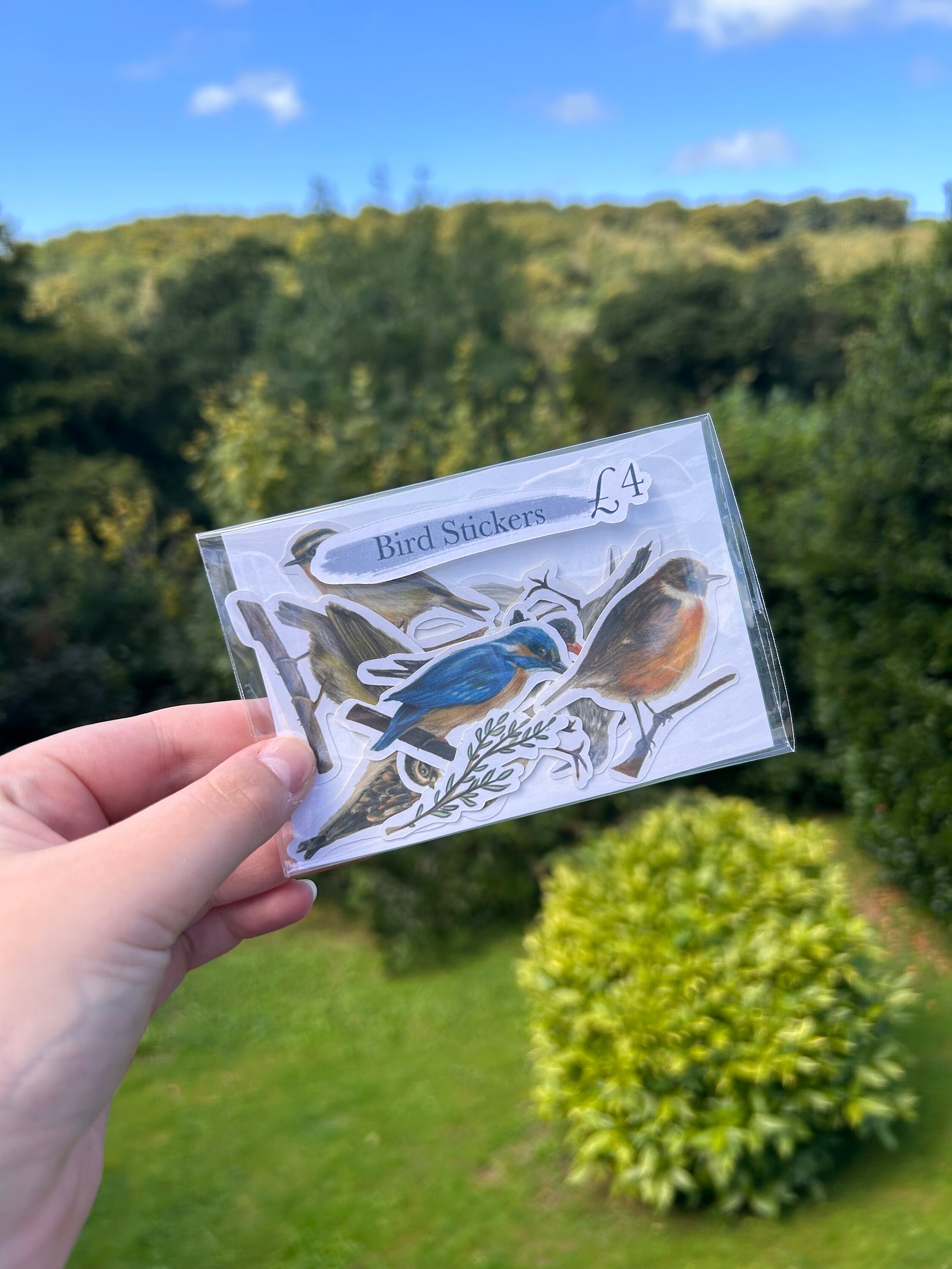 Illustrated Sticker Pack Cornish Birds - Etsy