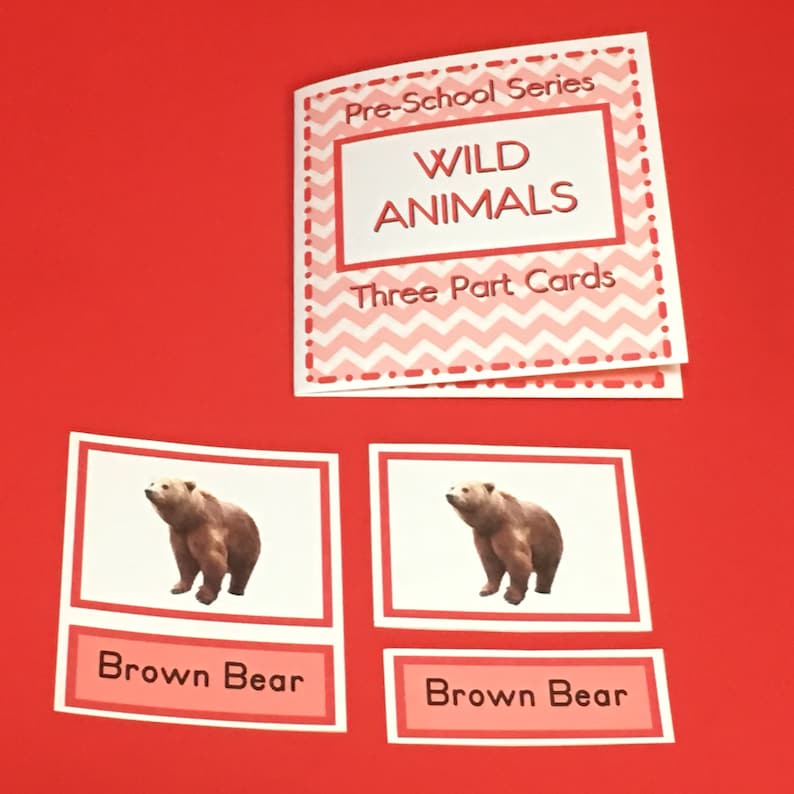 Zoology Series - Wild Animals - Three Part Card Set - Montessori ...