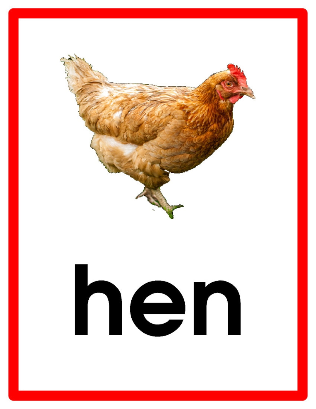 Custom - CVC Words - Cards for Learning Center - Laminated Cards ...