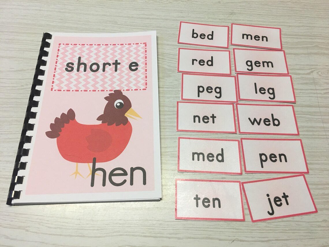 The Pink Series Interactive Learning Books Short Vowel Set W/ 60 ...
