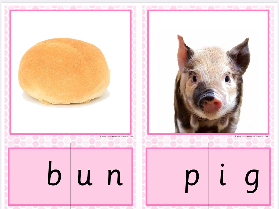 PINK SERIES | Montessori Activity - Word Family Cards | Educational ...