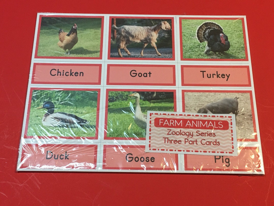 Zoology Series - Farm Animals- Three Part Card Set (PRINTED ...