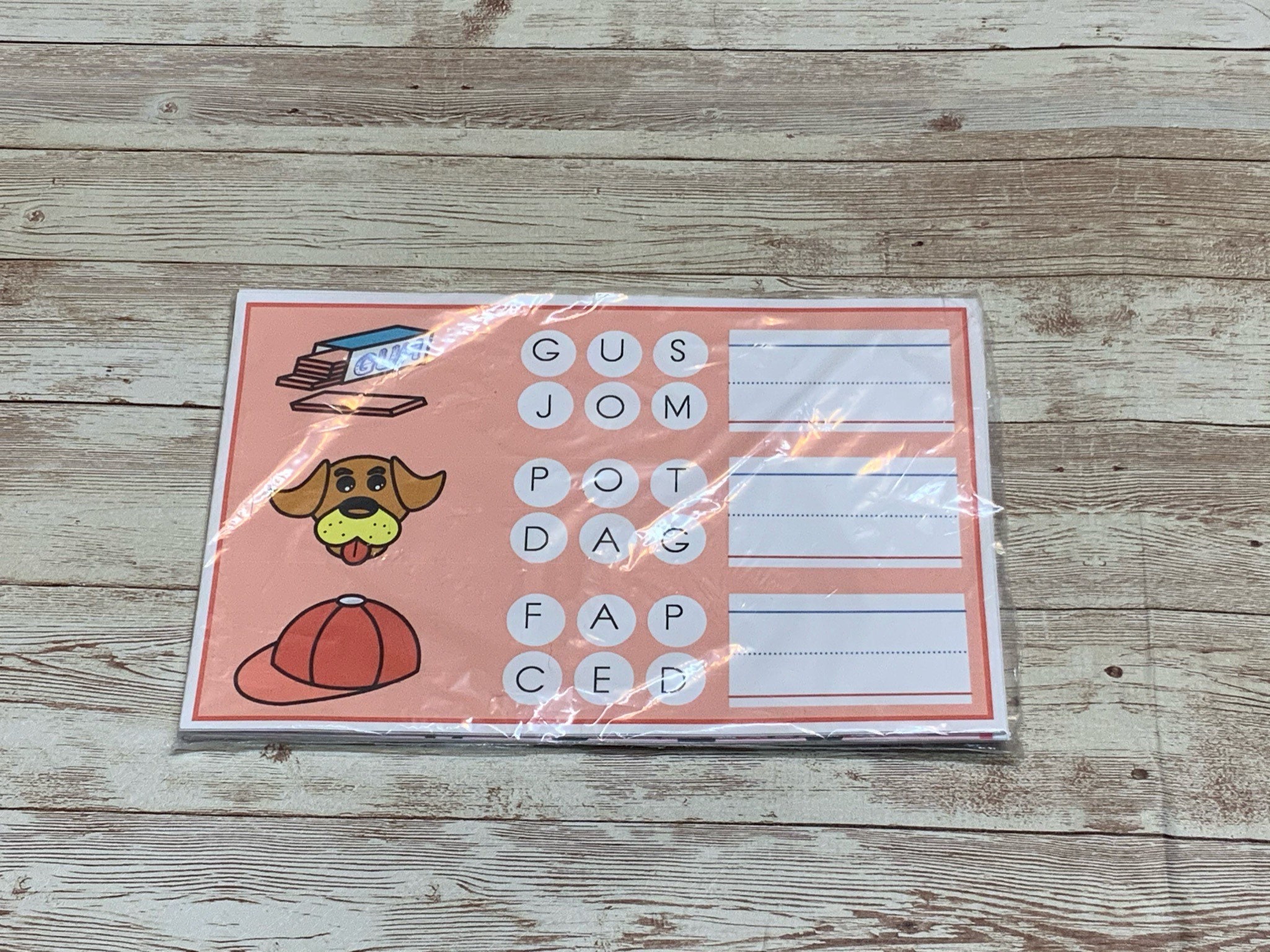 Write & Wipe Activity Set -build a Word CVC Words - Etsy