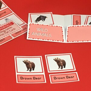 Zoology Series - Wild Animals - Three Part Card Set - Montessori ...