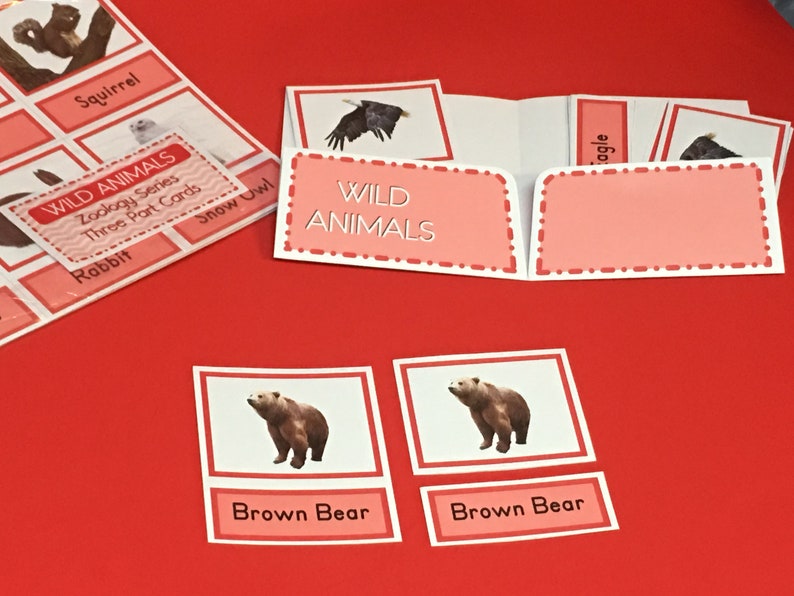 Zoology Series - Wild Animals - Three Part Card Set - Montessori ...