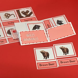 Zoology Series - Wild Animals - Three Part Card Set - Montessori ...