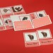 Zoology Series - Wild Animals - Three Part Card Set - Montessori ...