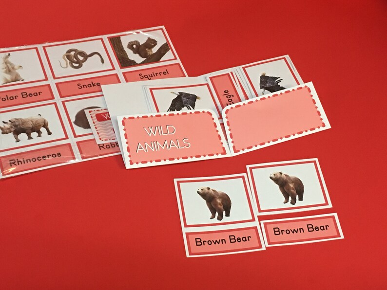 Zoology Series - Wild Animals - Three Part Card Set - Montessori ...