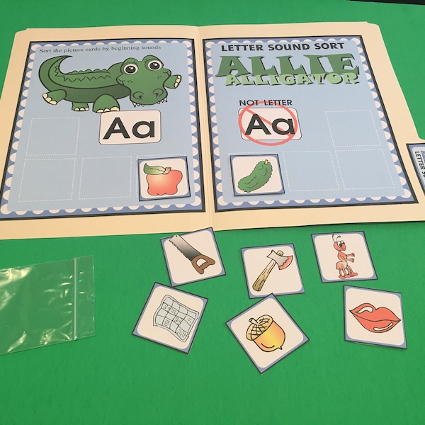 File Folder Games - Etsy