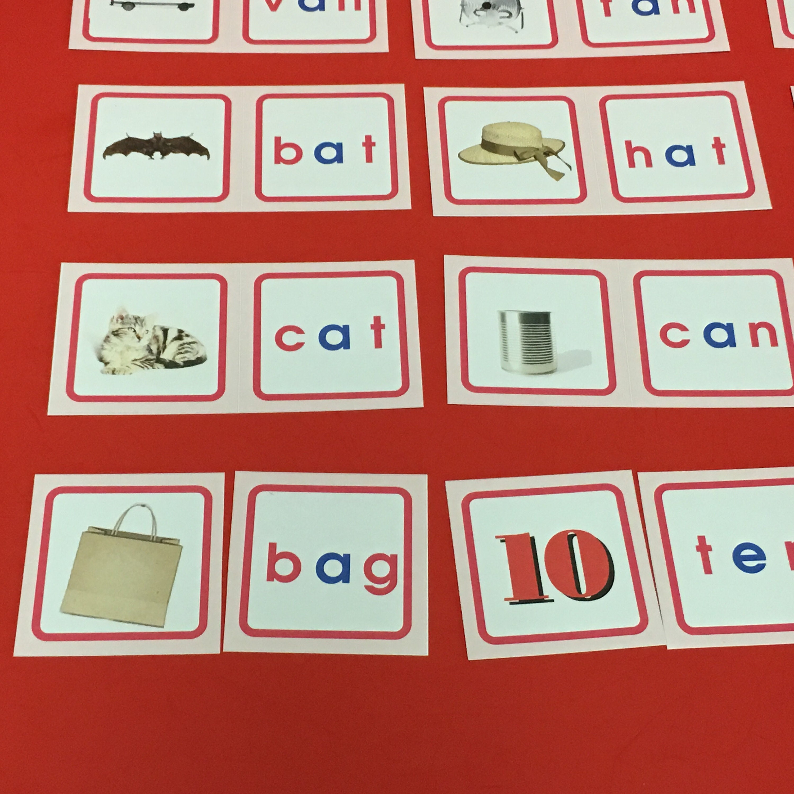 Pink Series Montessori - CVC PICTURE & WORD Match Cards -120 Laminated ...
