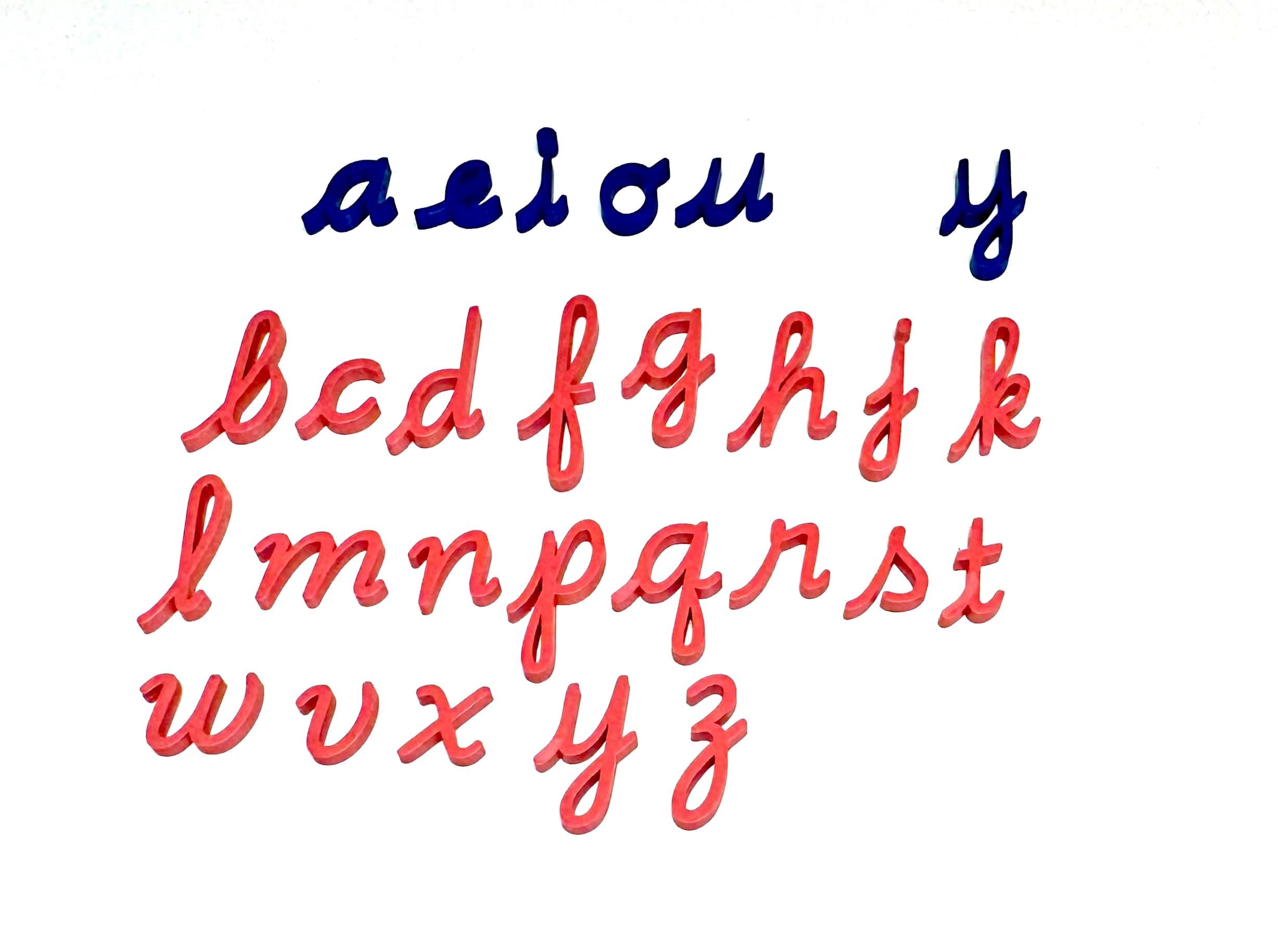 Montessori Moveable Cursive Alphabet Letters Set | Educational Toy for ...