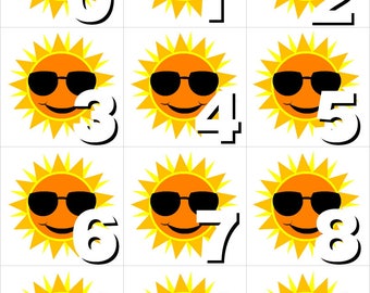 INSTANT DOWNLOAD Poppies Numbers 0-31 Pocket Chart Cards | Etsy