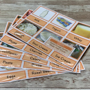 Learning Resource Bundle - Complete Food Groups Series - Three Part ...