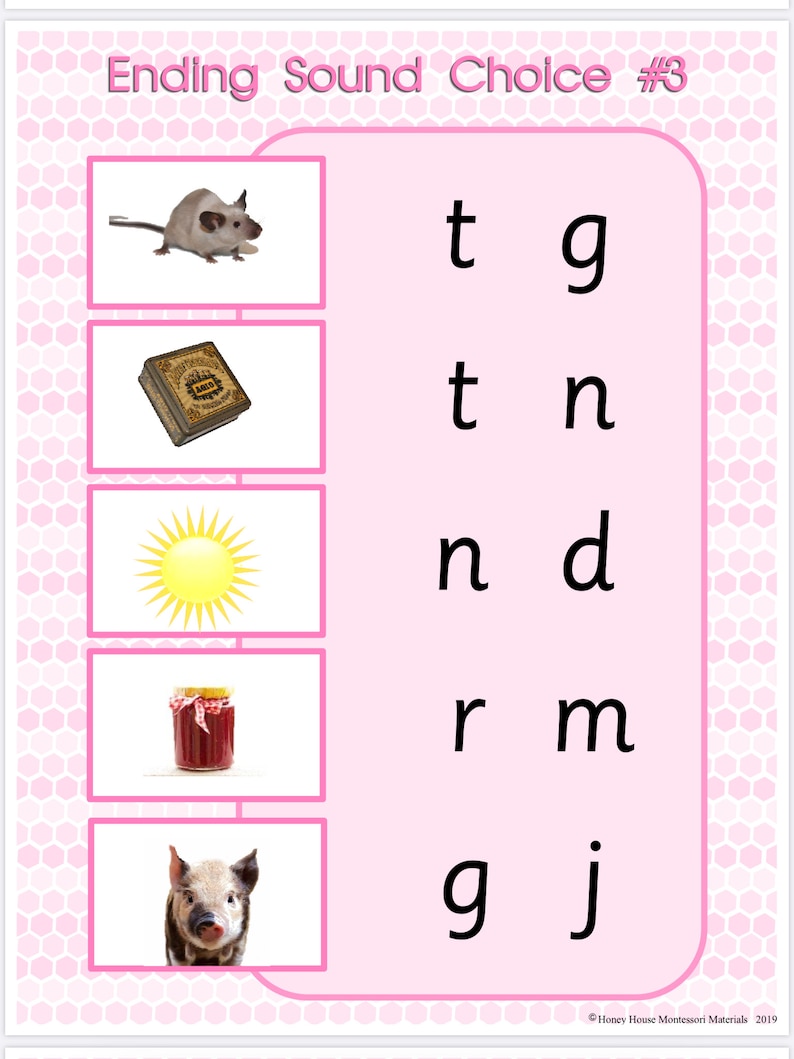 PINK SERIES | Montessori Activity - Ending Sounds Choice | Educational ...