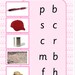 PINK SERIES | Montessori Activity - Beginning Sound Choice ...
