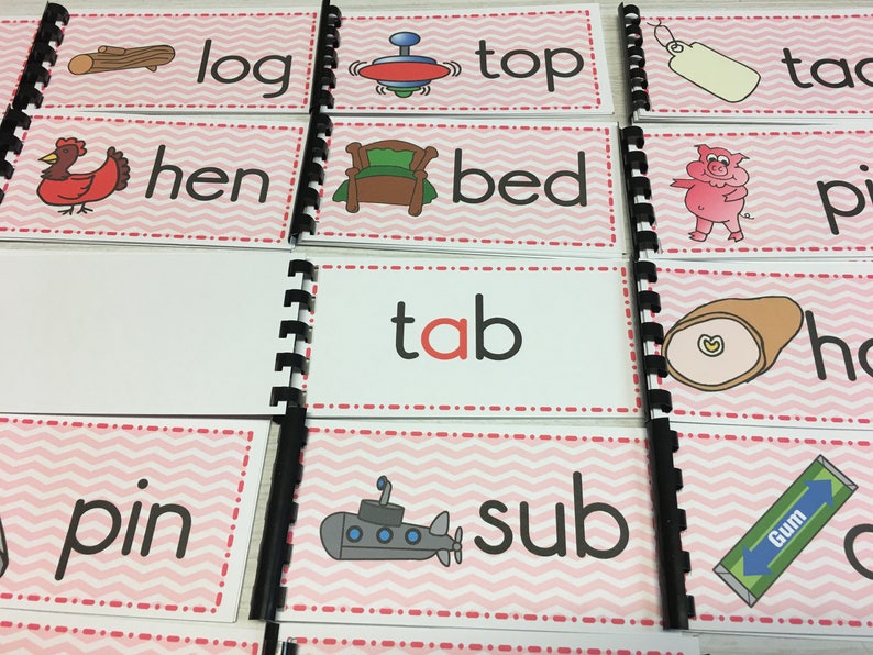 The Pink Series 24 CVC Word Families Booklets Montessori Material for ...