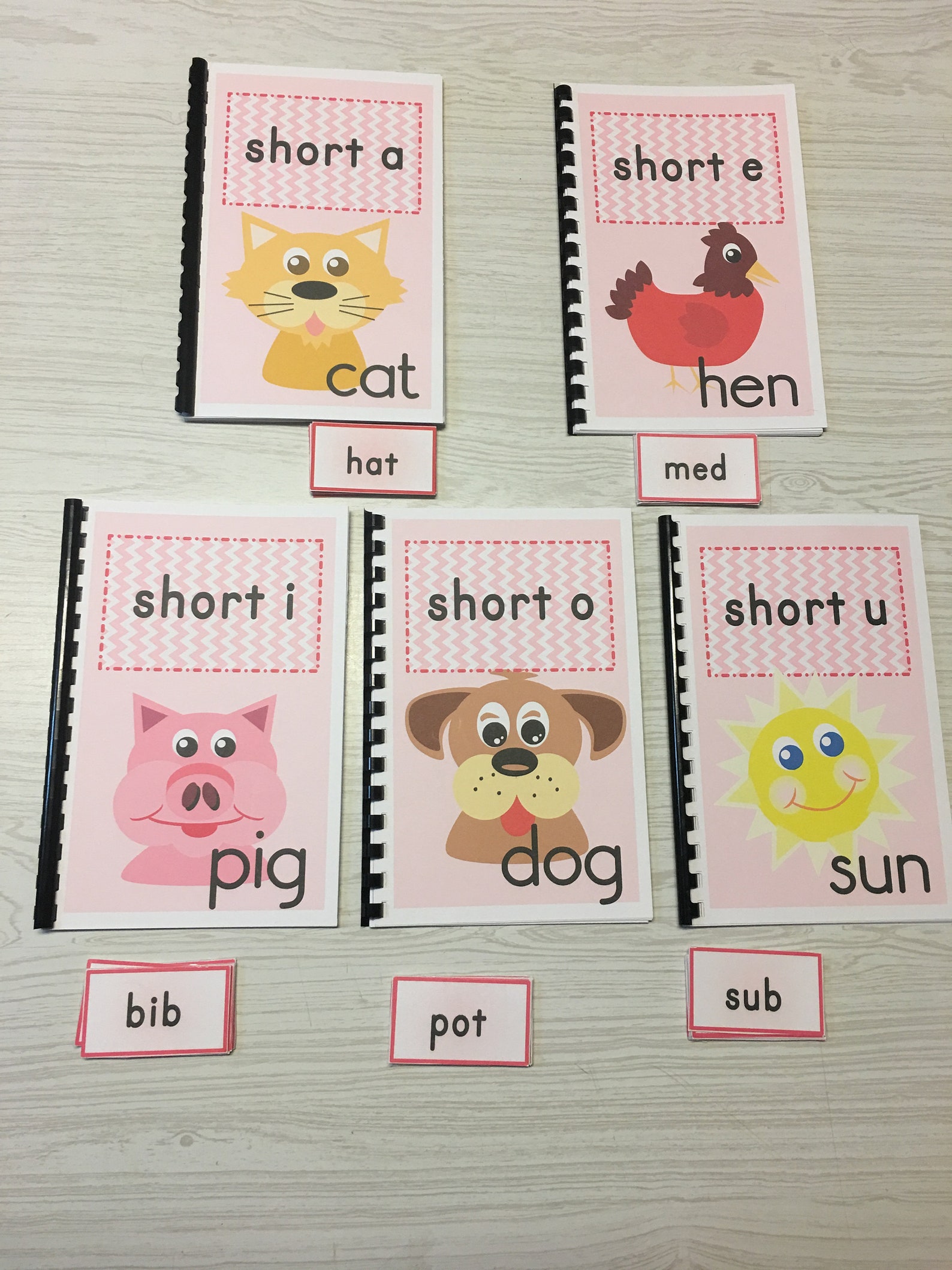 The Pink Series Interactive Learning Books Short Vowel Set W/ 60 ...