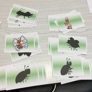 Insects - Themed Activities Package for Learning Centers - Perfect for ...