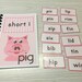 The Pink Series - Interactive Learning Books - Short Vowel Set - W/ 60 ...