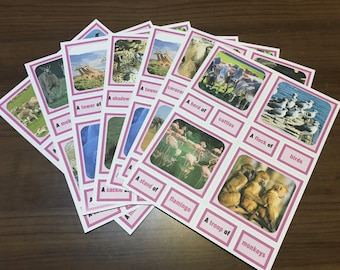 Montessori Parts of an Animal Cell Puzzle Anatomy of Animal - Etsy