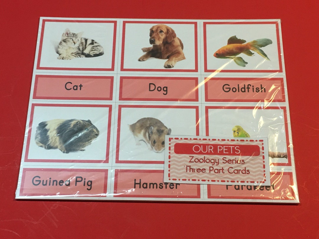 Zoology Series - Our Pets - Three Part Card Set (PRINTED) - Montessori ...