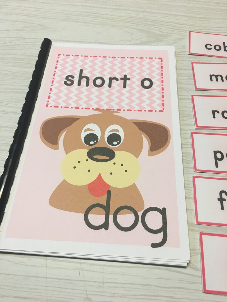 The Pink Series Interactive Learning Books Short Vowel Set W/ 60 ...