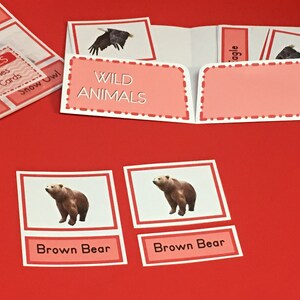 Zoology Series - Wild Animals - Three Part Card Set - Montessori ...