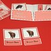 Zoology Series - Wild Animals - Three Part Card Set - Montessori ...
