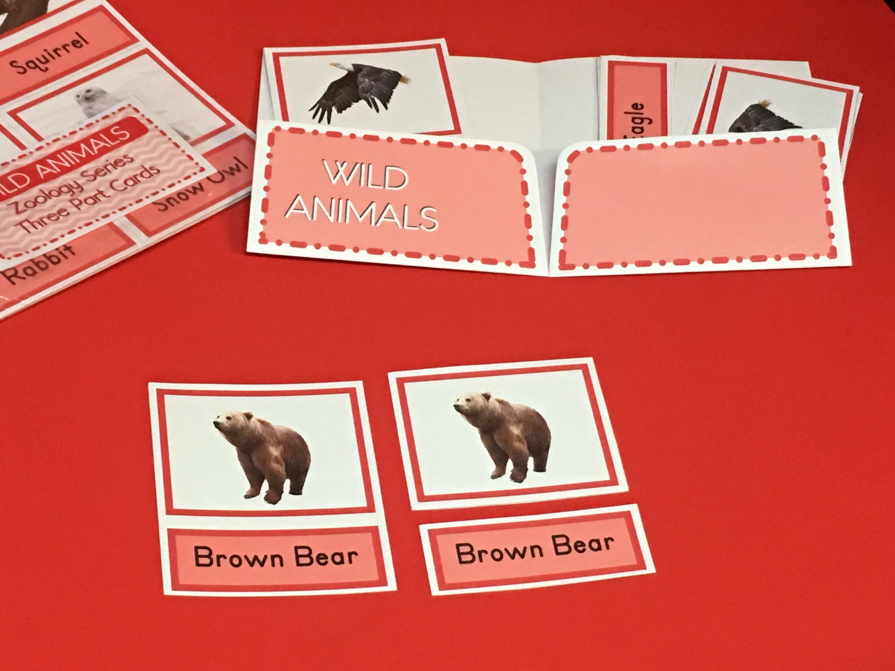 Zoology Series - Wild Animals - Three Part Card Set - Montessori ...