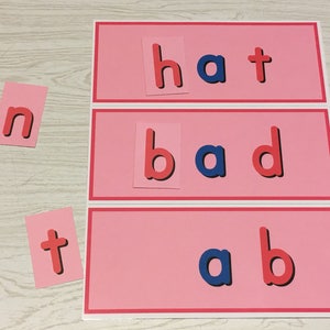 The Pink Series - 33 Word Building Strips - Word Families Work Mats ...