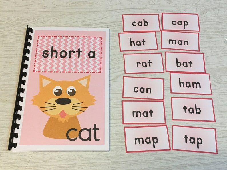 The Pink Series Interactive Learning Books Short Vowel Set W/ 60 ...