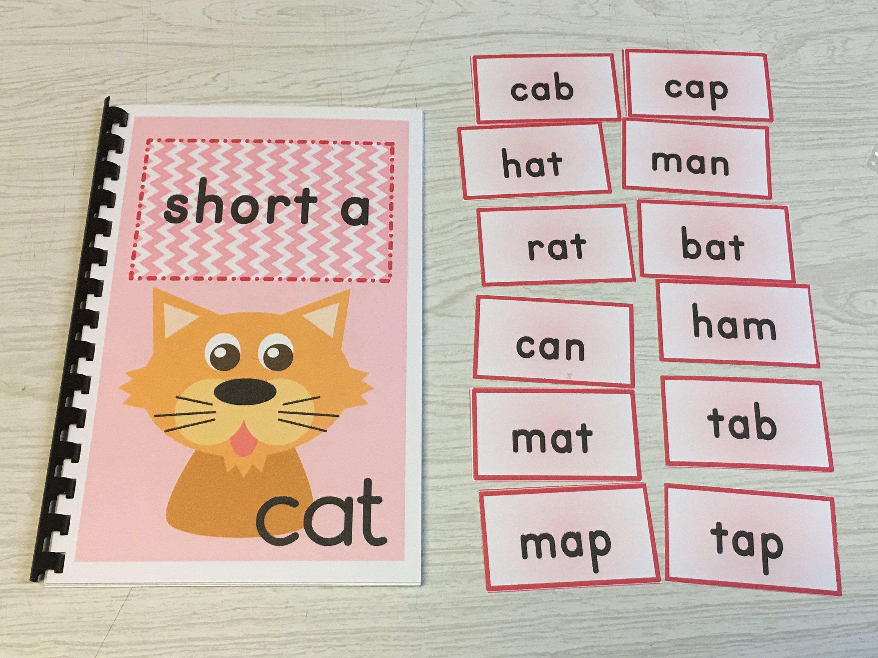 The Pink Series - Interactive Learning Books - Short Vowel Set - W/ 60 ...
