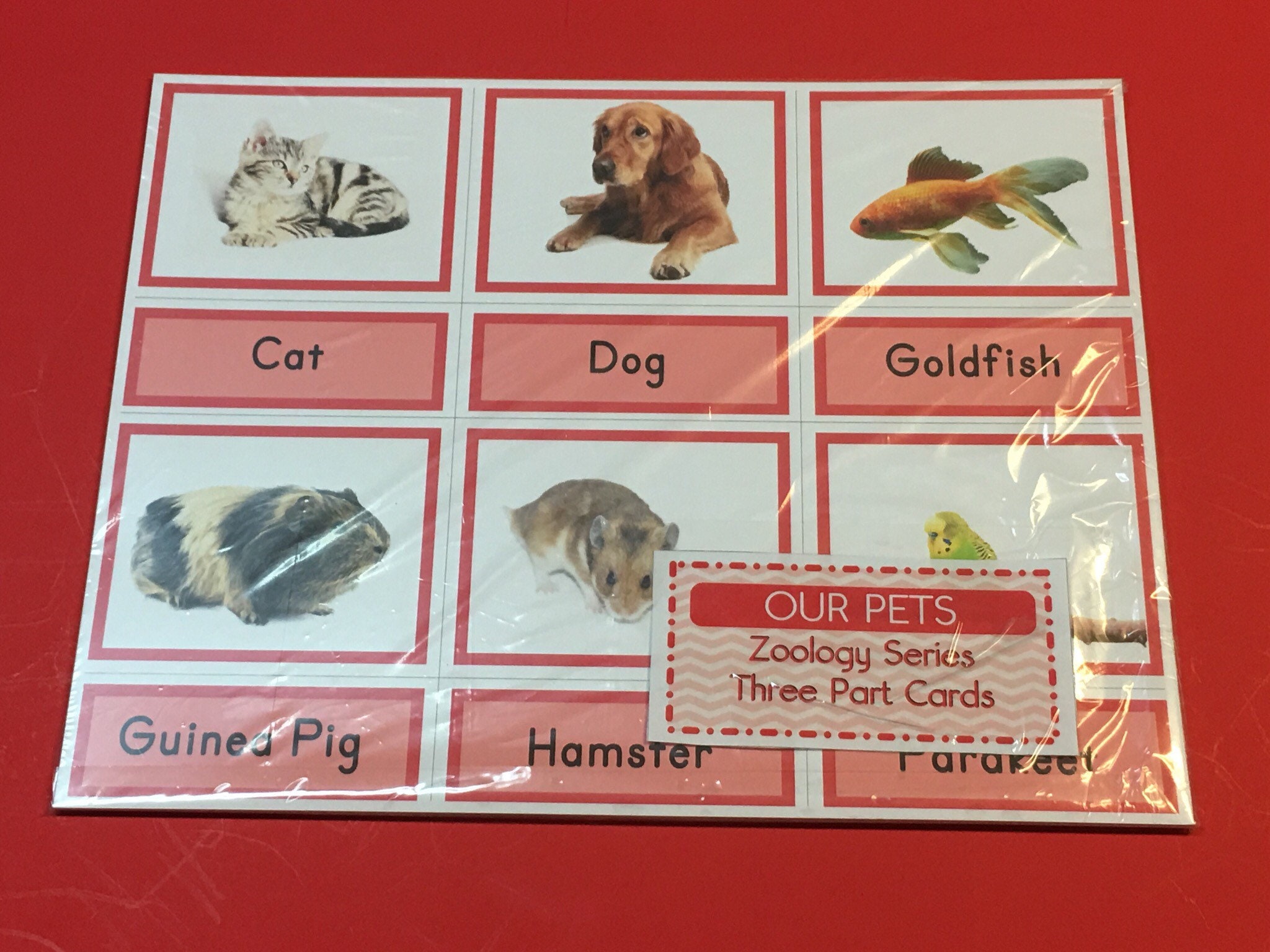 Zoology Series - Our Pets - Three Part Card Set (PRINTED) - Montessori ...