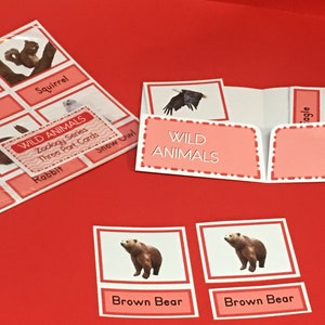 Zoology Series - Wild Animals - Three Part Card Set - Montessori ...
