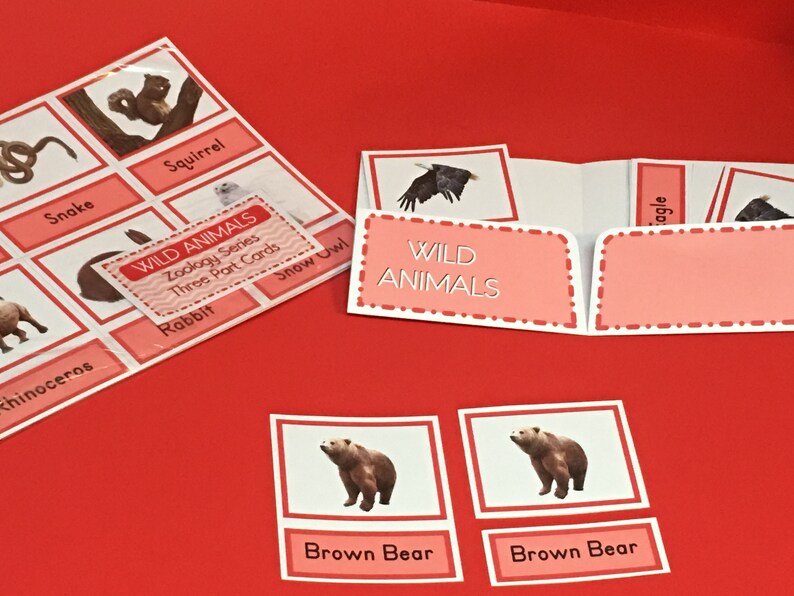 Zoology Series - Wild Animals - Three Part Card Set - Montessori ...