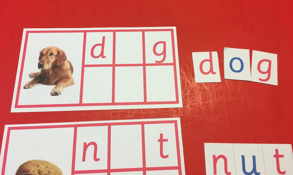 Pink Series Montessori Medial Sounds CVC WORD CARDS 45 | Etsy